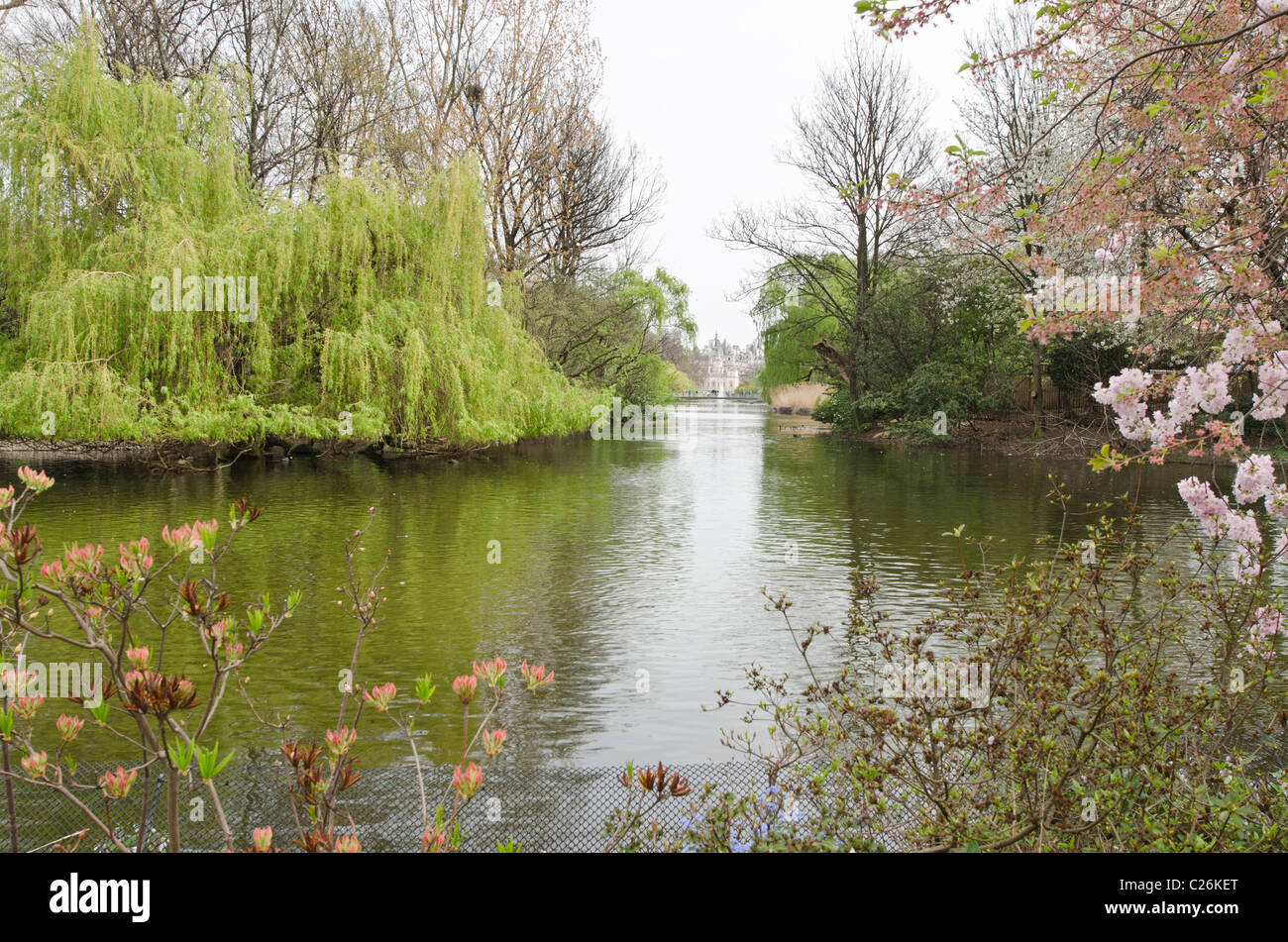 Westminster london uk spring shrubs and trees hi-res stock photography ...