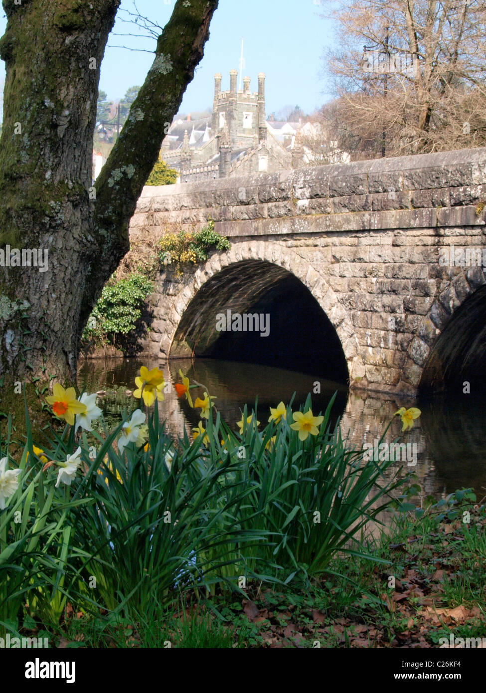 Tavistock abbey hi-res stock photography and images - Alamy