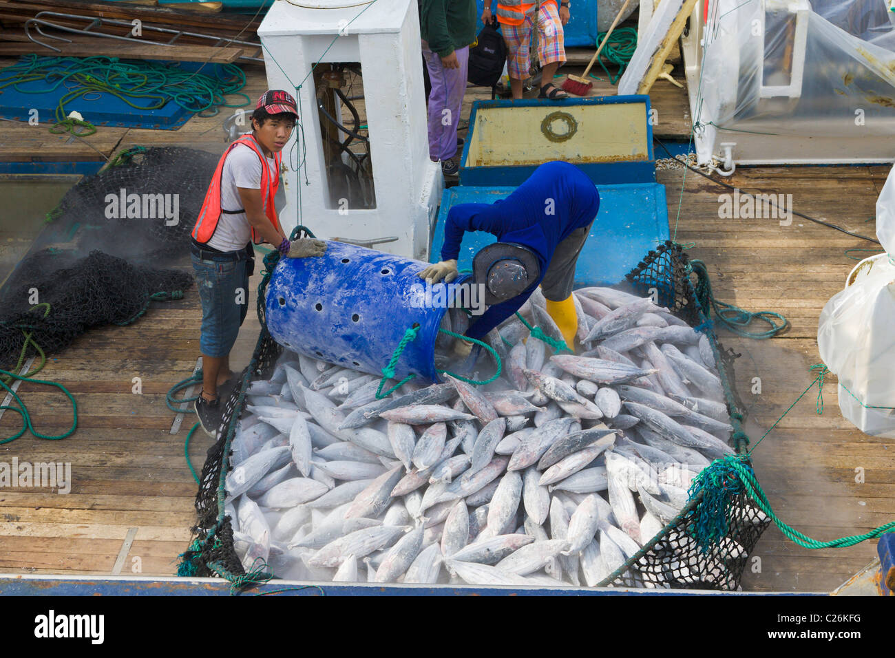 Manta Ecuador Fishing
