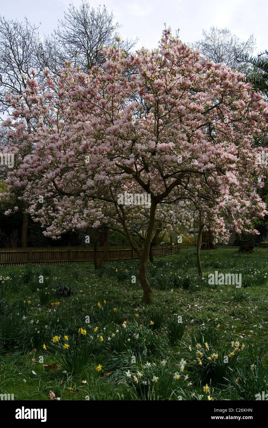 Spring floral uk landscape hi-res stock photography and images - Alamy