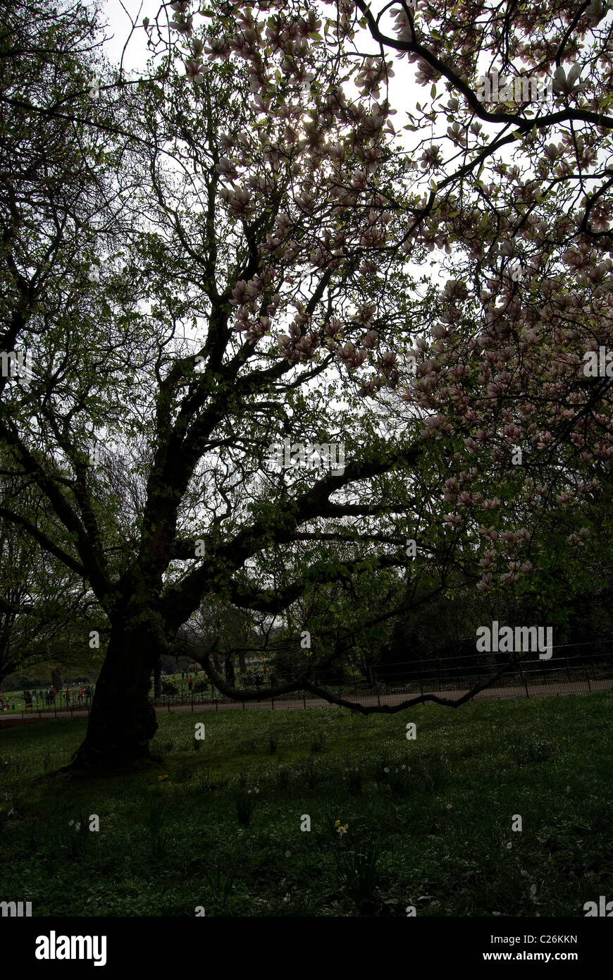 Spring floral uk landscape hi-res stock photography and images - Alamy