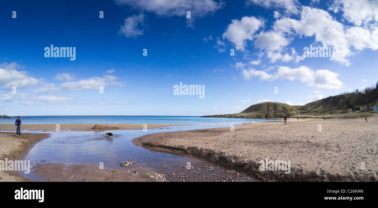 Coldingham Beach and bay, Scottish Borders, UK Stock Photo - Alamy