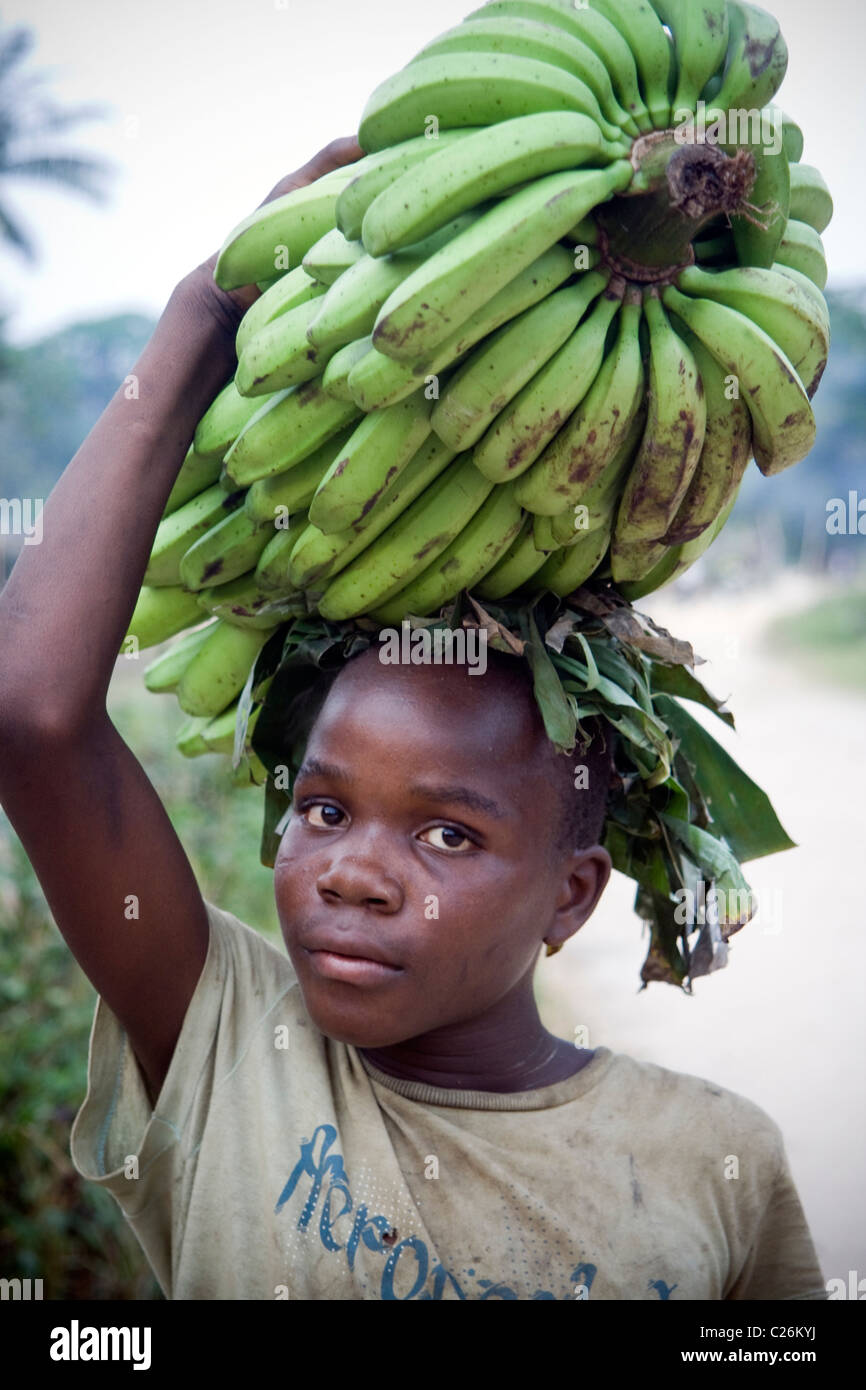 Kid carrying banana regime ,Betou, Ubangi River ,Republic of Congo ...