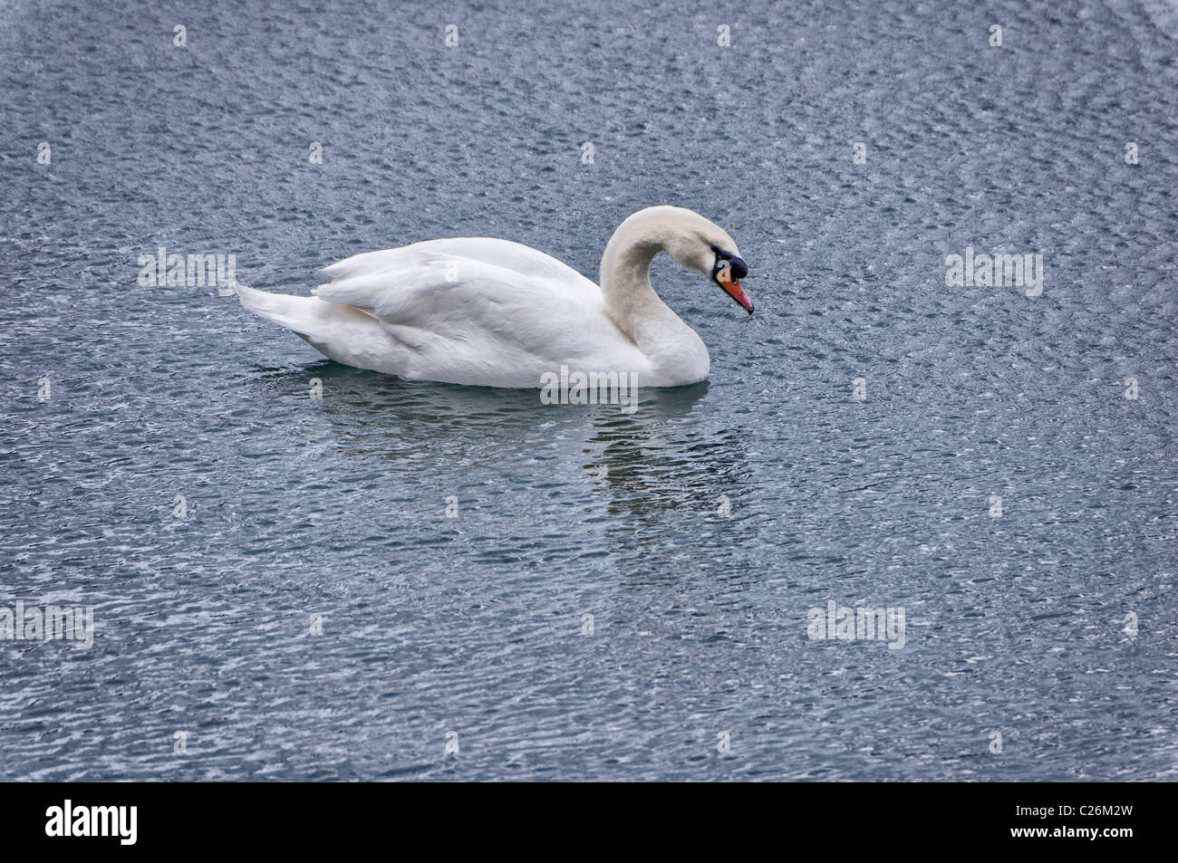St Abbs, Berwickshire, Scottish Borders - fishing village on the North ...