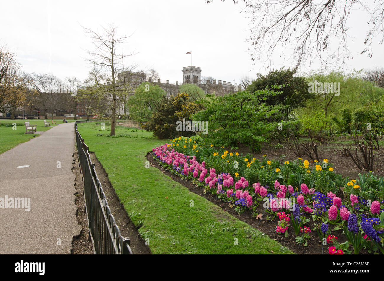 Spring hyacinths flower border uk hi-res stock photography and images ...