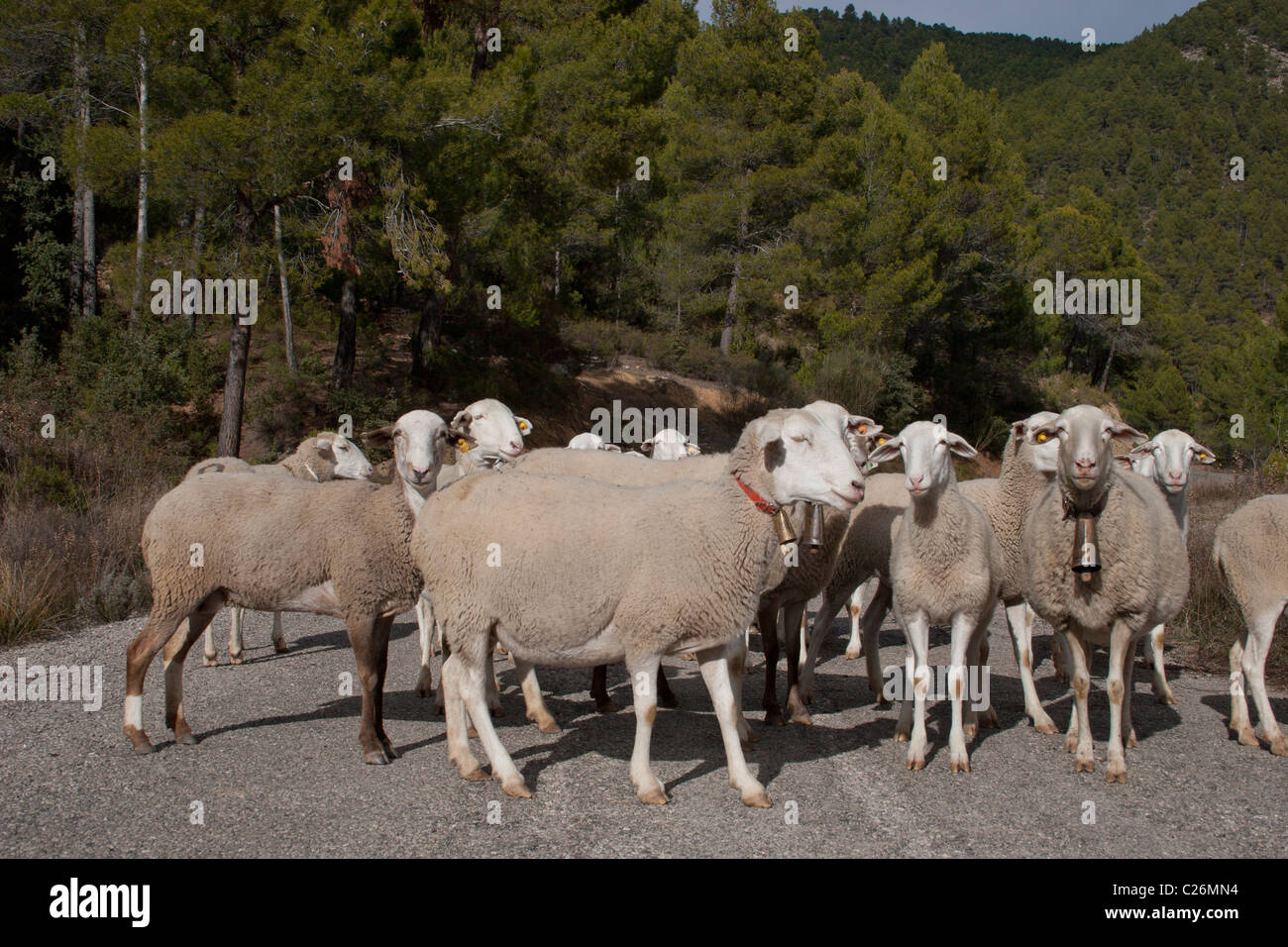 Yeste spain hi-res stock photography and images - Alamy