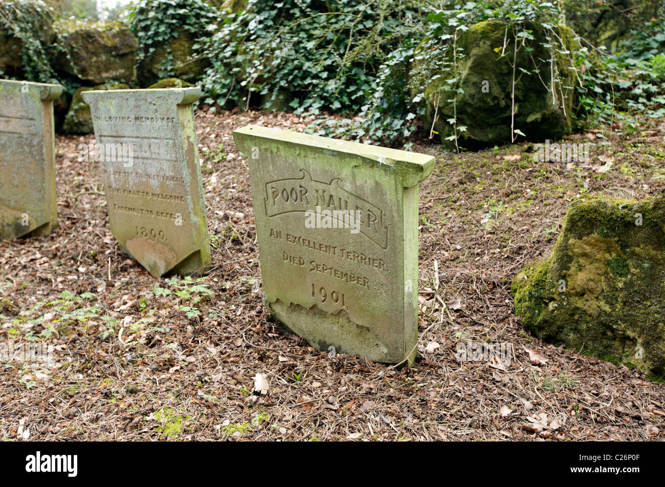 Poor grave hi-res stock photography and images - Alamy
