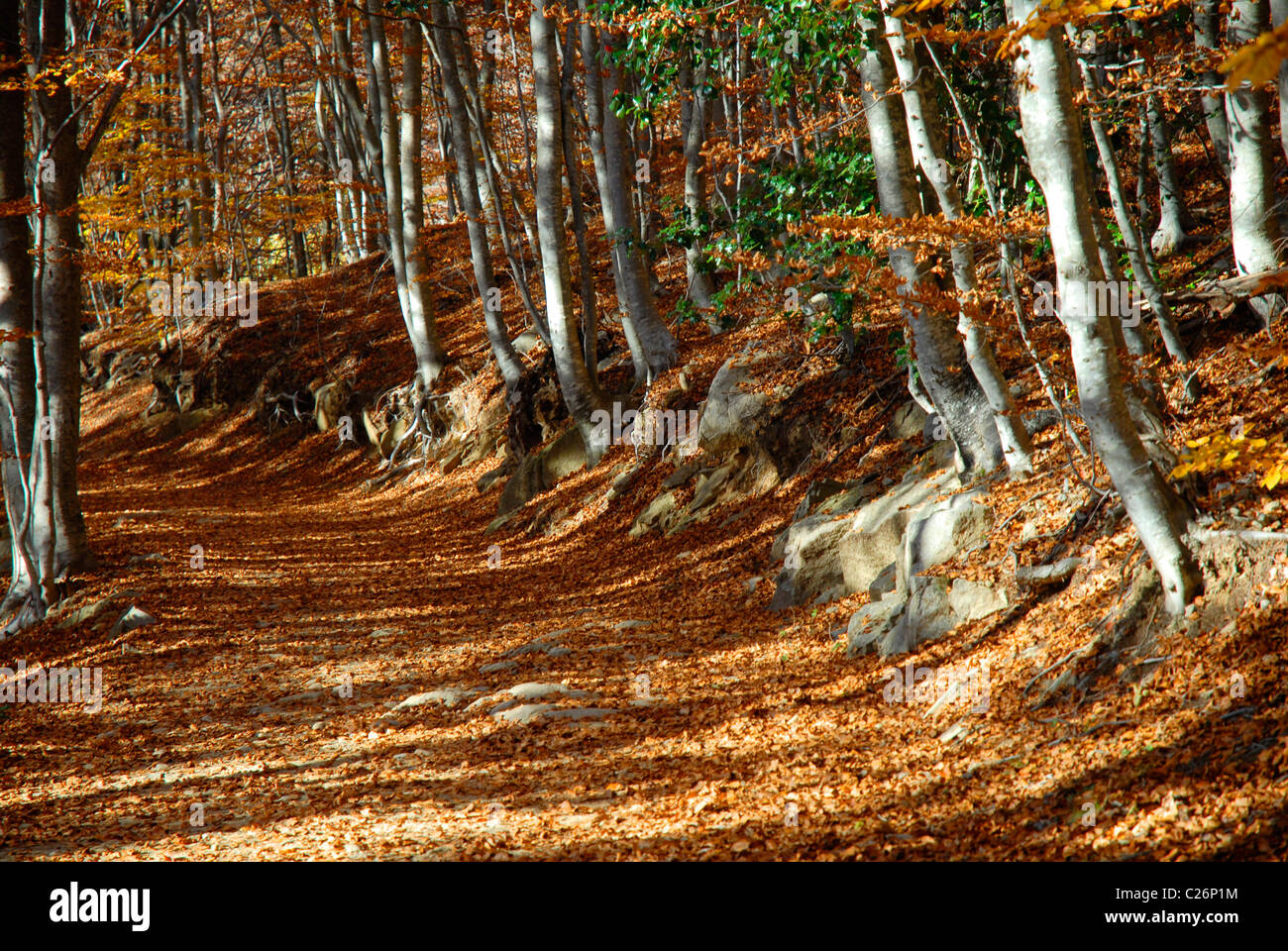 Catalonian mountains hi-res stock photography and images - Alamy