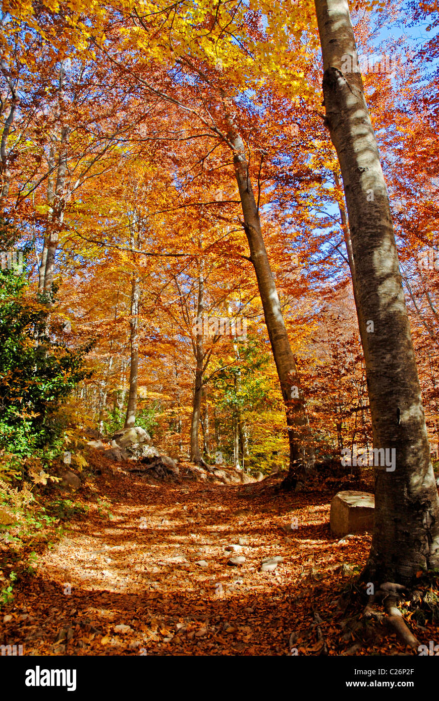 Historical catalonian landscape hi-res stock photography and images - Alamy