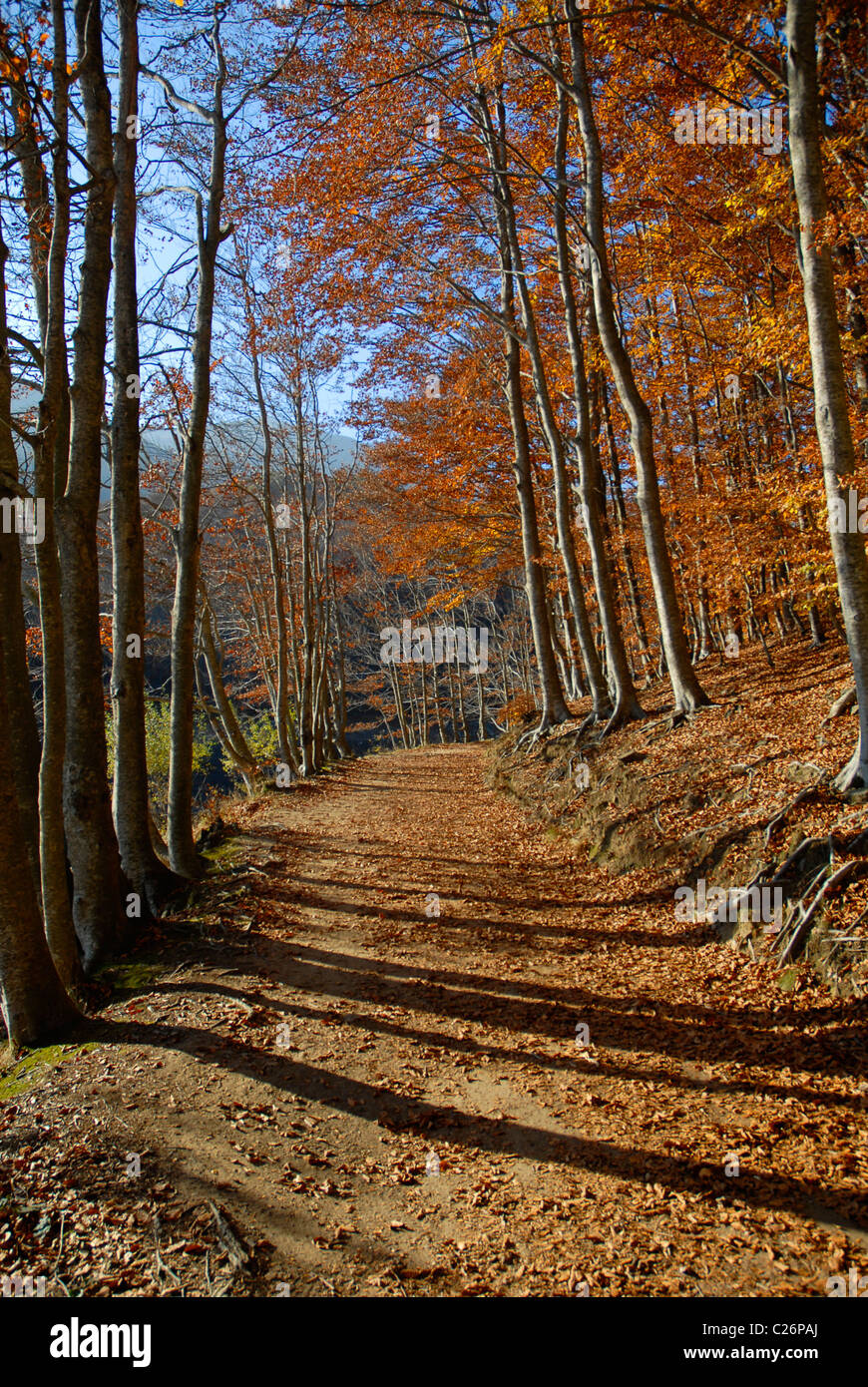 Site montseny hi-res stock photography and images - Alamy