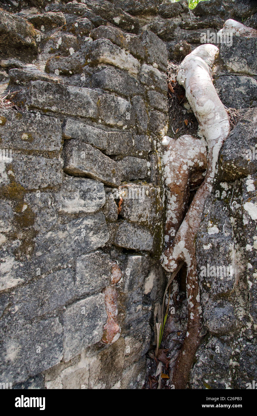 Mexico, Quintana Roo, Yucatan Peninsula near Costa Maya. Kohunlich ...