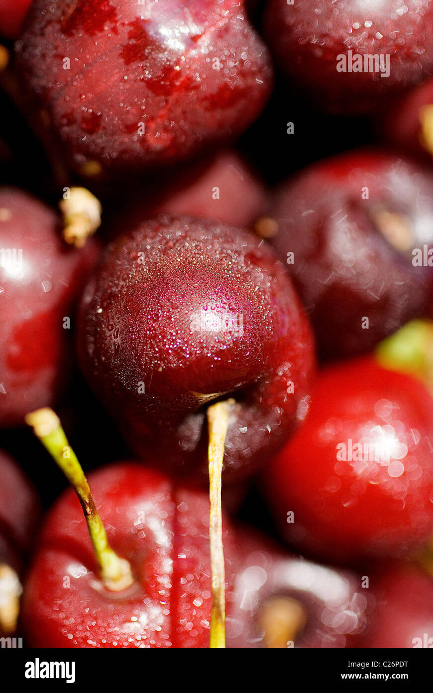 Close up blooming cherries flowers hi-res stock photography and images ...