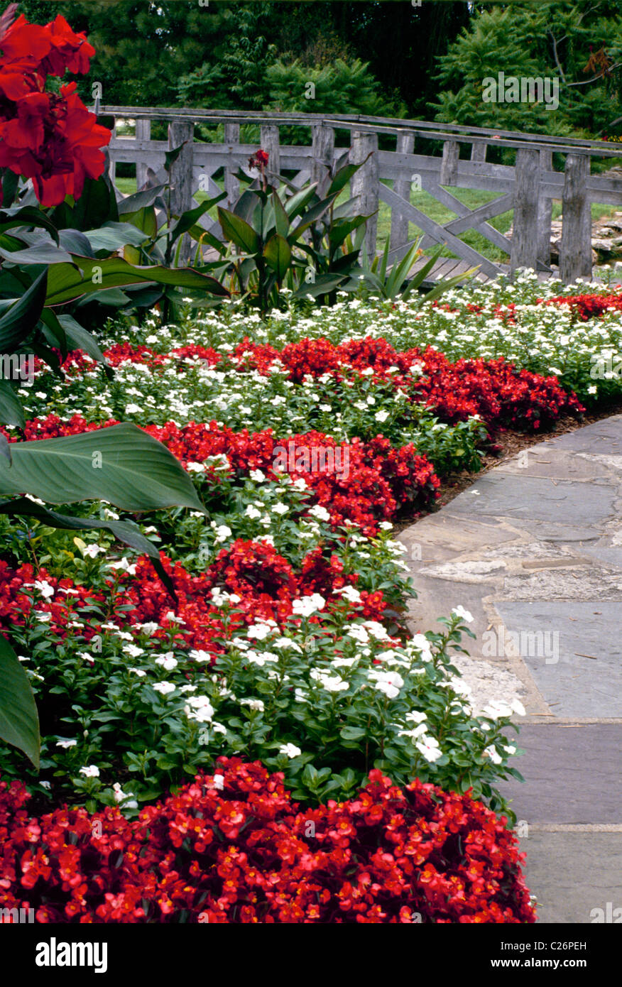 Begonias landscape hi-res stock photography and images - Alamy