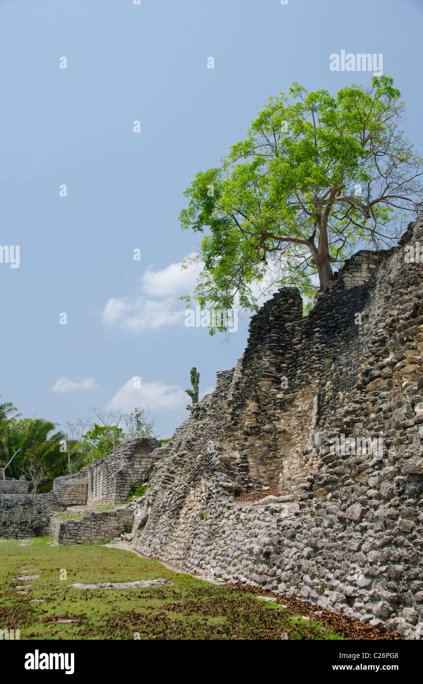 Mexico, Quintana Roo, Yucatan Peninsula near Costa Maya. Kohunlich ...