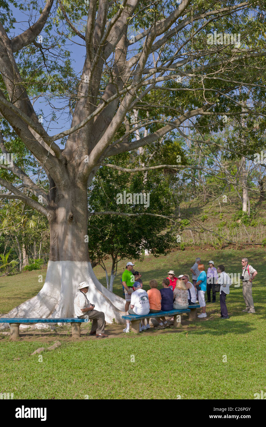 Tourists visiting Izapa archaeological site, Chiapas, Mexico Stock ...