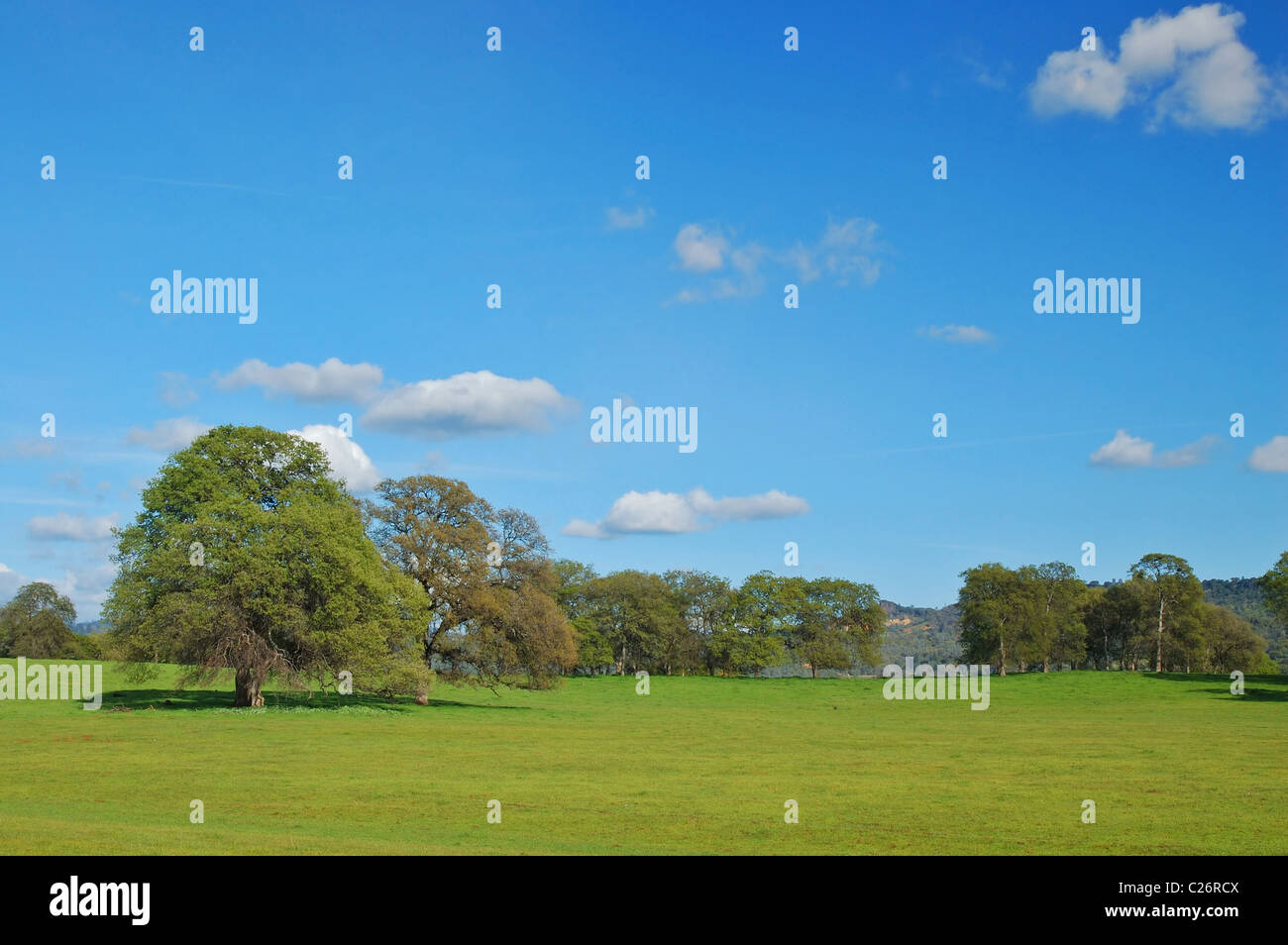the countryside of northern California in springtime Stock Photo - Alamy