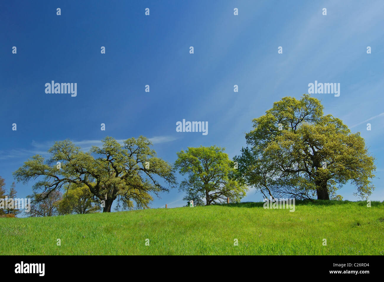the countryside of northern California in springtime Stock Photo - Alamy