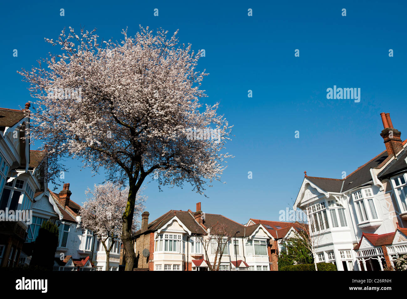 London in blossom hi-res stock photography and images - Alamy