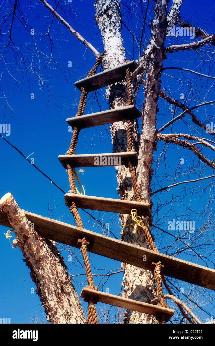 Forest watch tower hi-res stock photography and images - Alamy