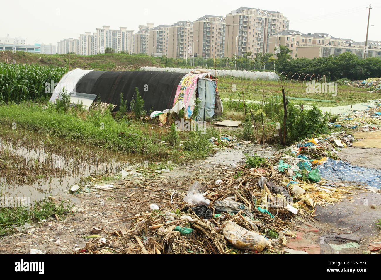Food farm shanghai hi-res stock photography and images - Alamy