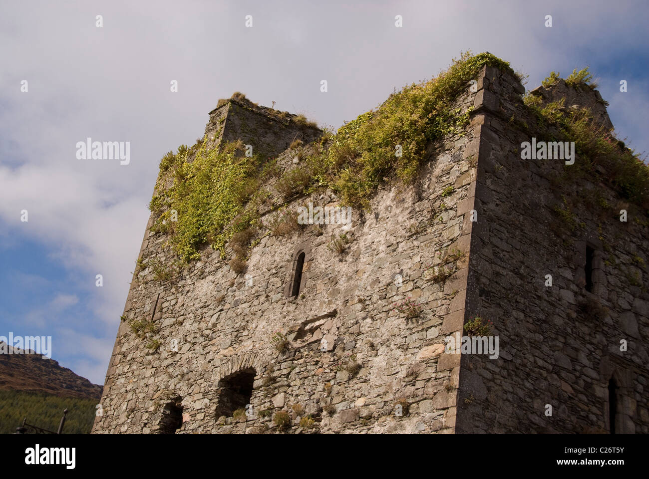 Taafe's Castle, Carlingford, County Louth, Ireland Stock Photo - Alamy