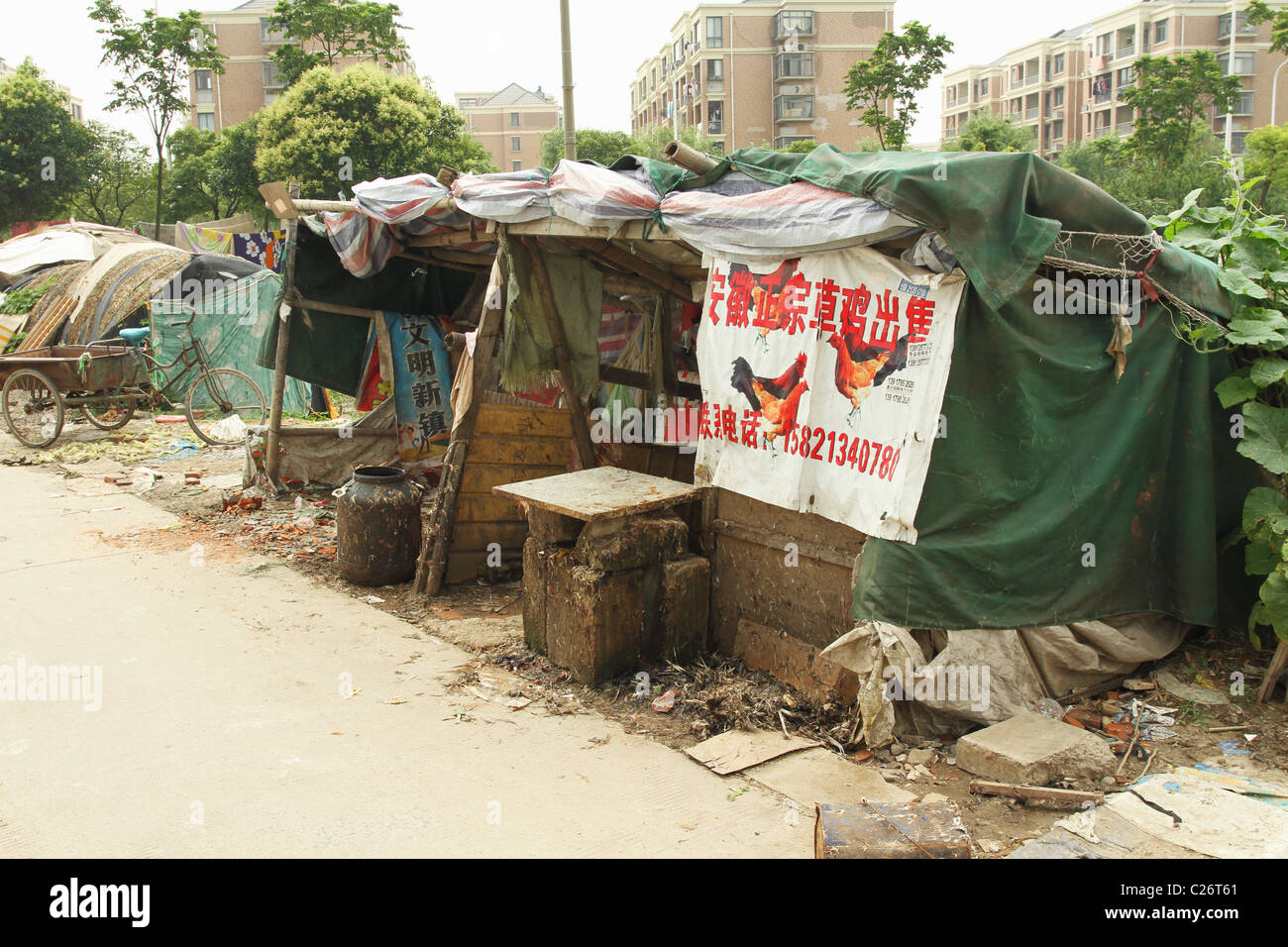 Chicken Killing Shack. Chopping block at center. Pudong, Shanghai ...