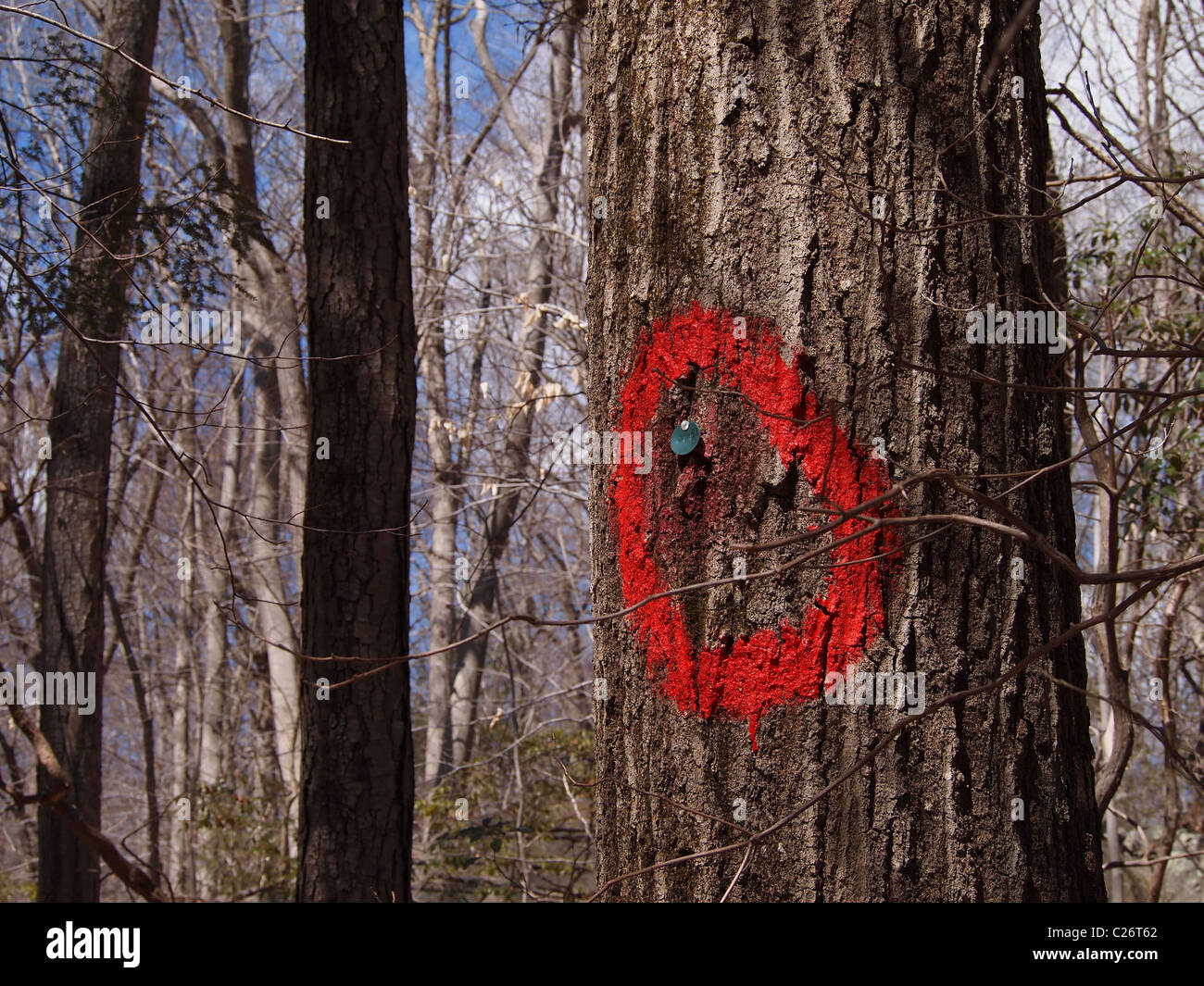 Trail marker nailed to tree to guide hikers through a nature preserve ...