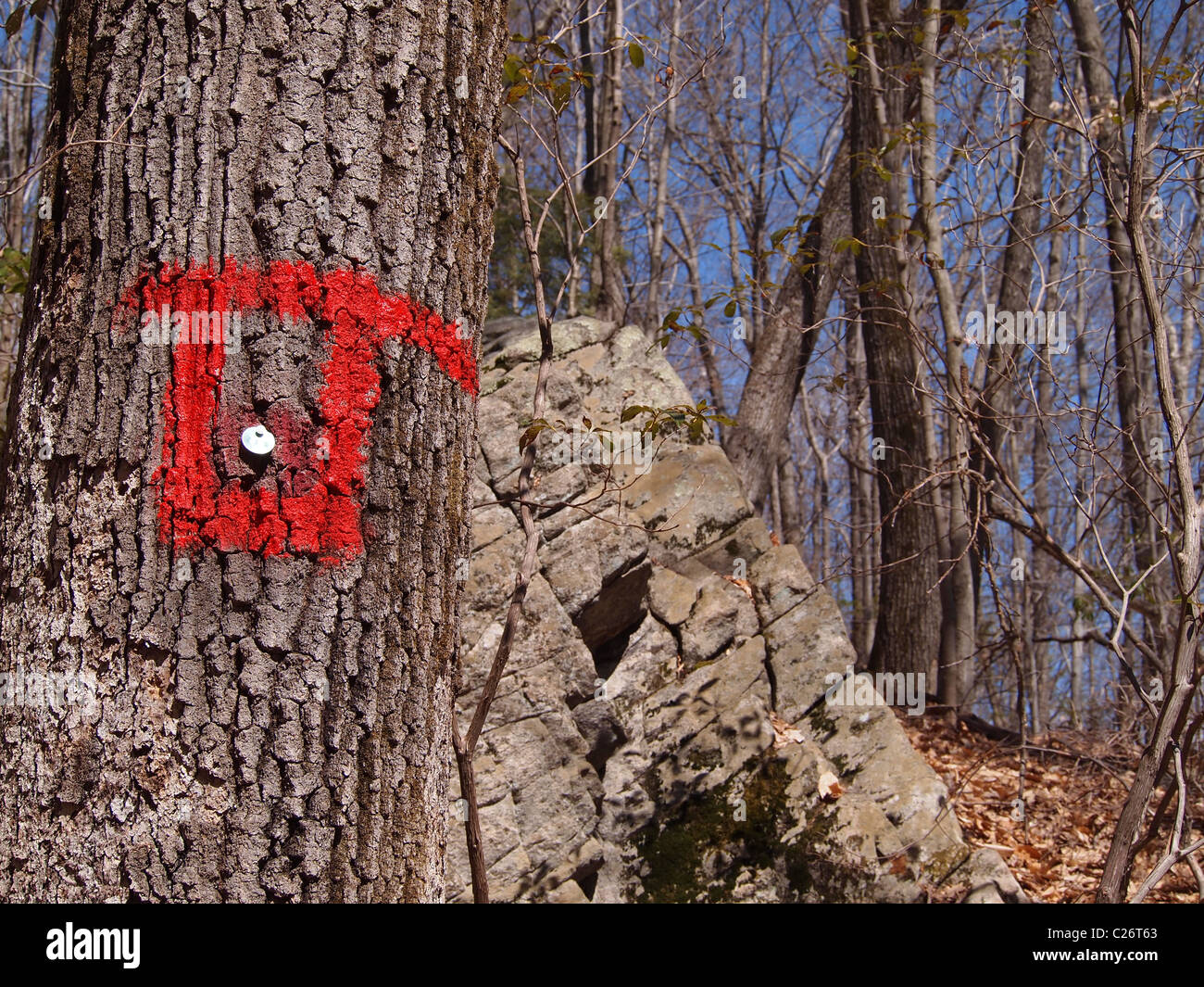 Trail marker nailed to tree to guide hikers through a nature preserve ...