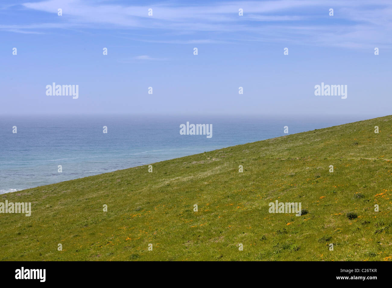 Grassy hillside along the Pacific coastline Stock Photo - Alamy
