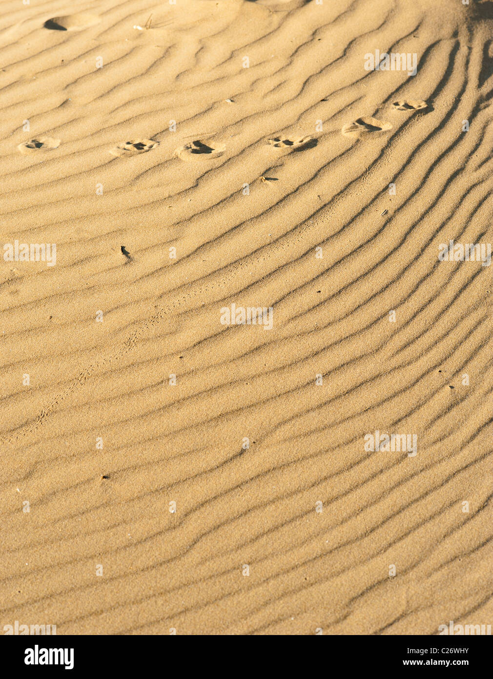 Sunlit beach sand with wavy pattern and footprints Stock Photo - Alamy