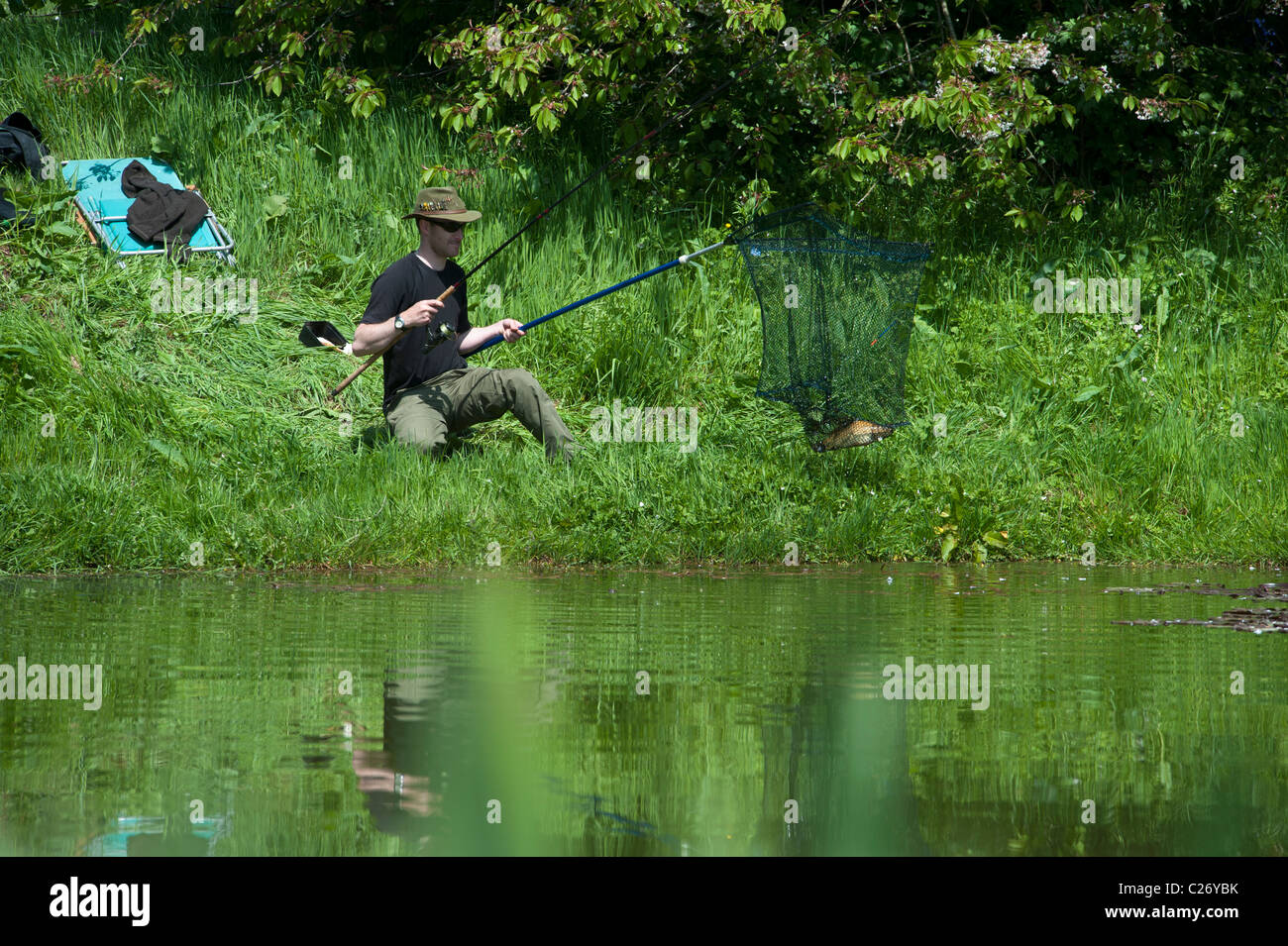 A young fisherman catching a carp in his landing net. England, UK Stock ...