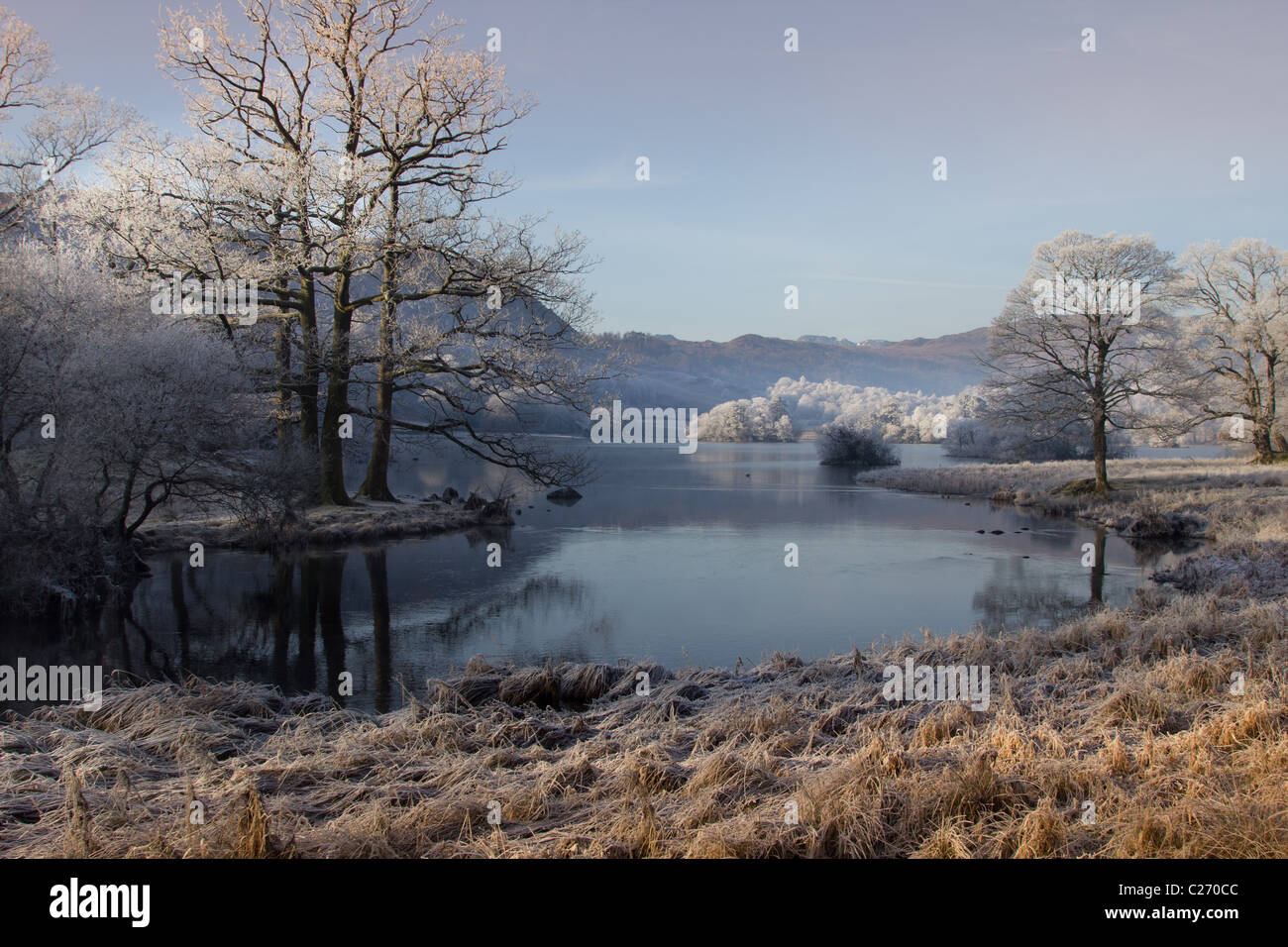 The early morning golden lake landscape Stock Photo - Alamy