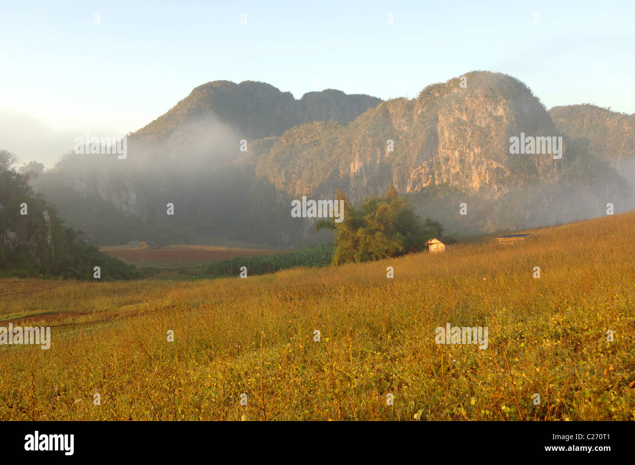 Maracas valley hi-res stock photography and images - Alamy