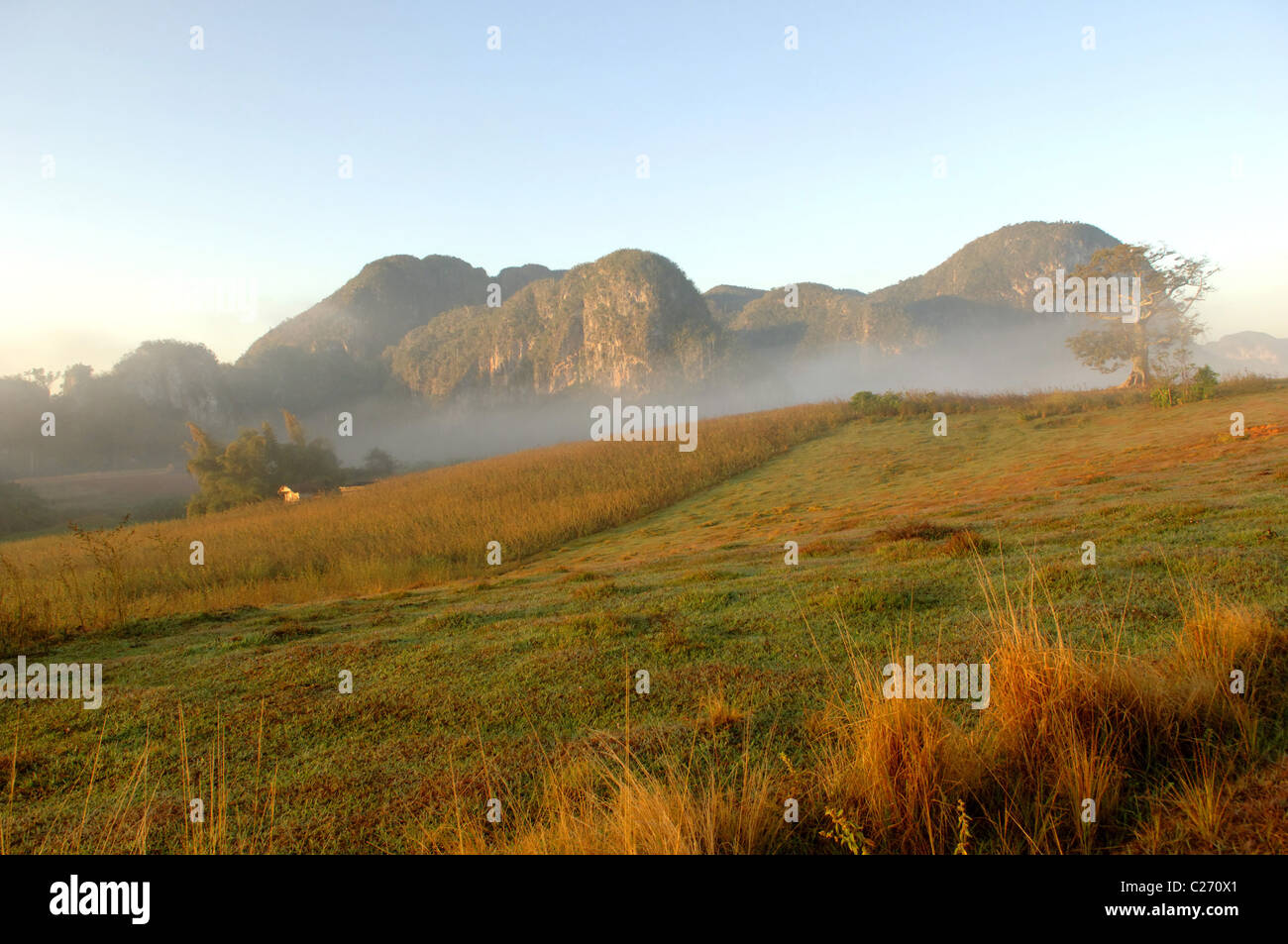 Maracas Valley High Resolution Stock Photography and Images - Alamy