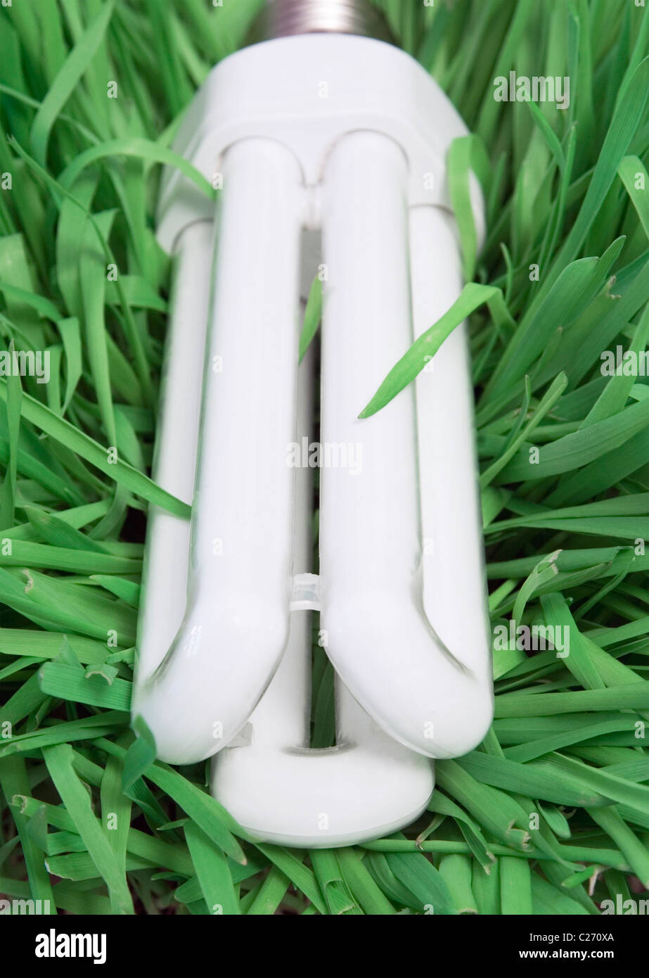 Light bulb grass hi-res stock photography and images - Alamy