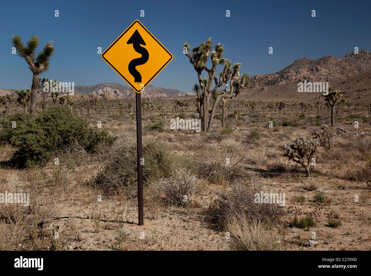 Mojave desert joshua tree road hi-res stock photography and images - Alamy