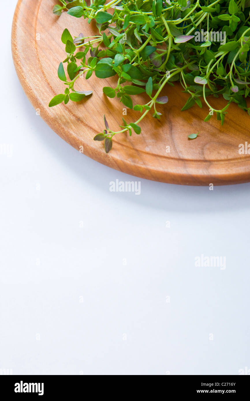 Thyme cut out hi-res stock photography and images - Alamy