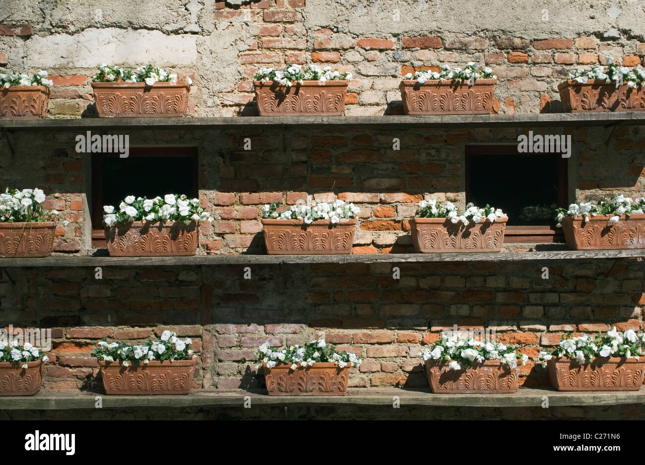 Flower pots in row hi-res stock photography and images - Alamy