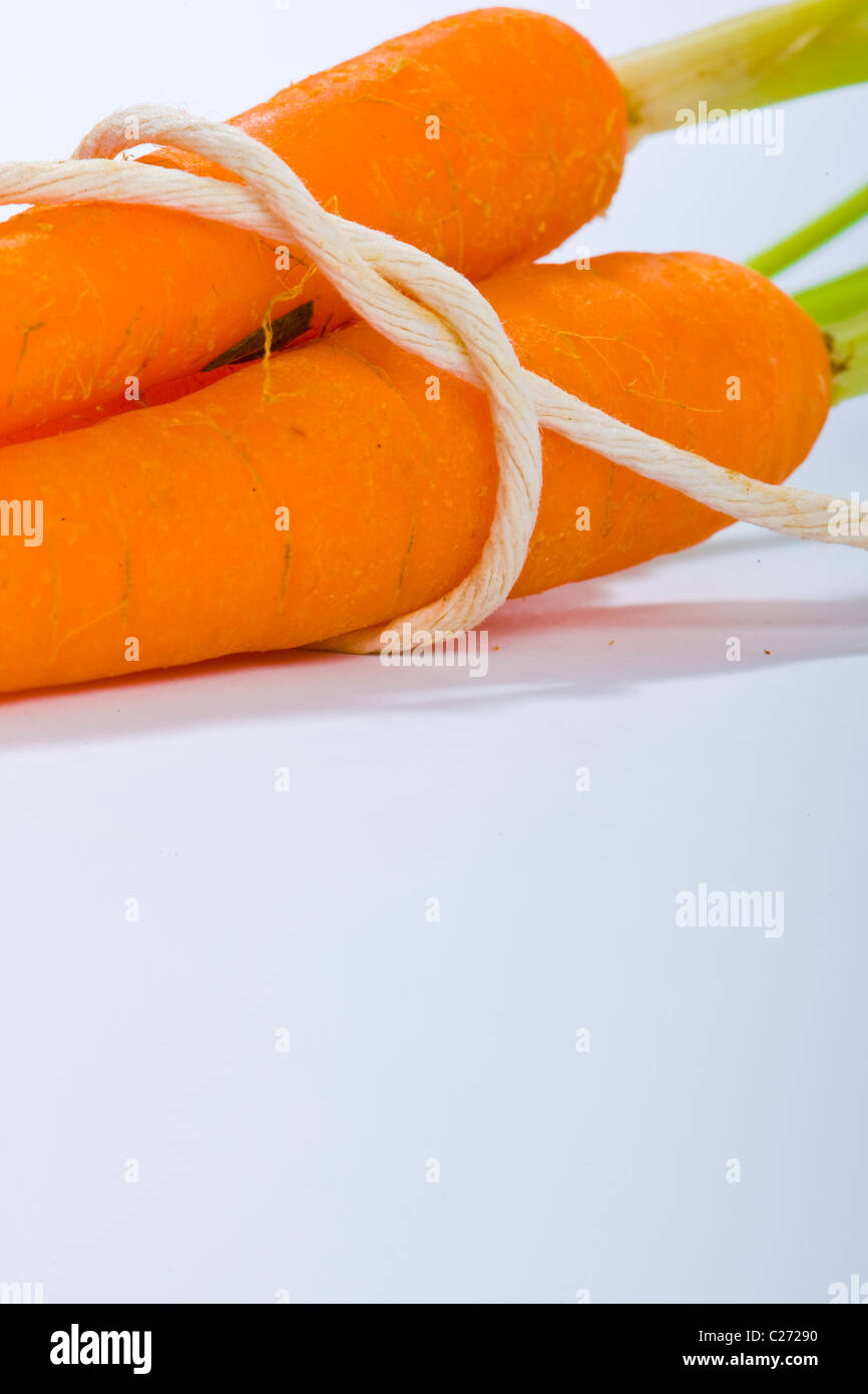 Tied Out High Resolution Stock Photography and Images - Alamy