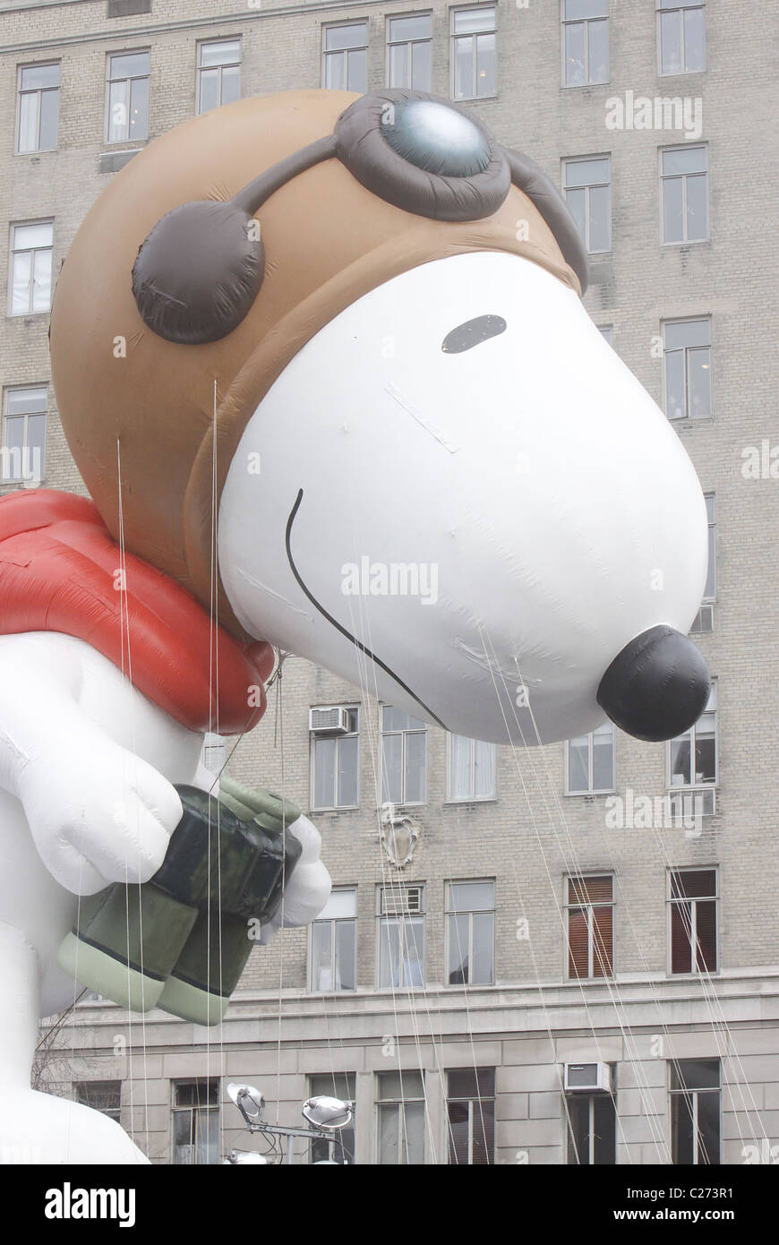 Snoopy The 83rd Annual Macy's Thanksgiving Parade New York City, USA ...