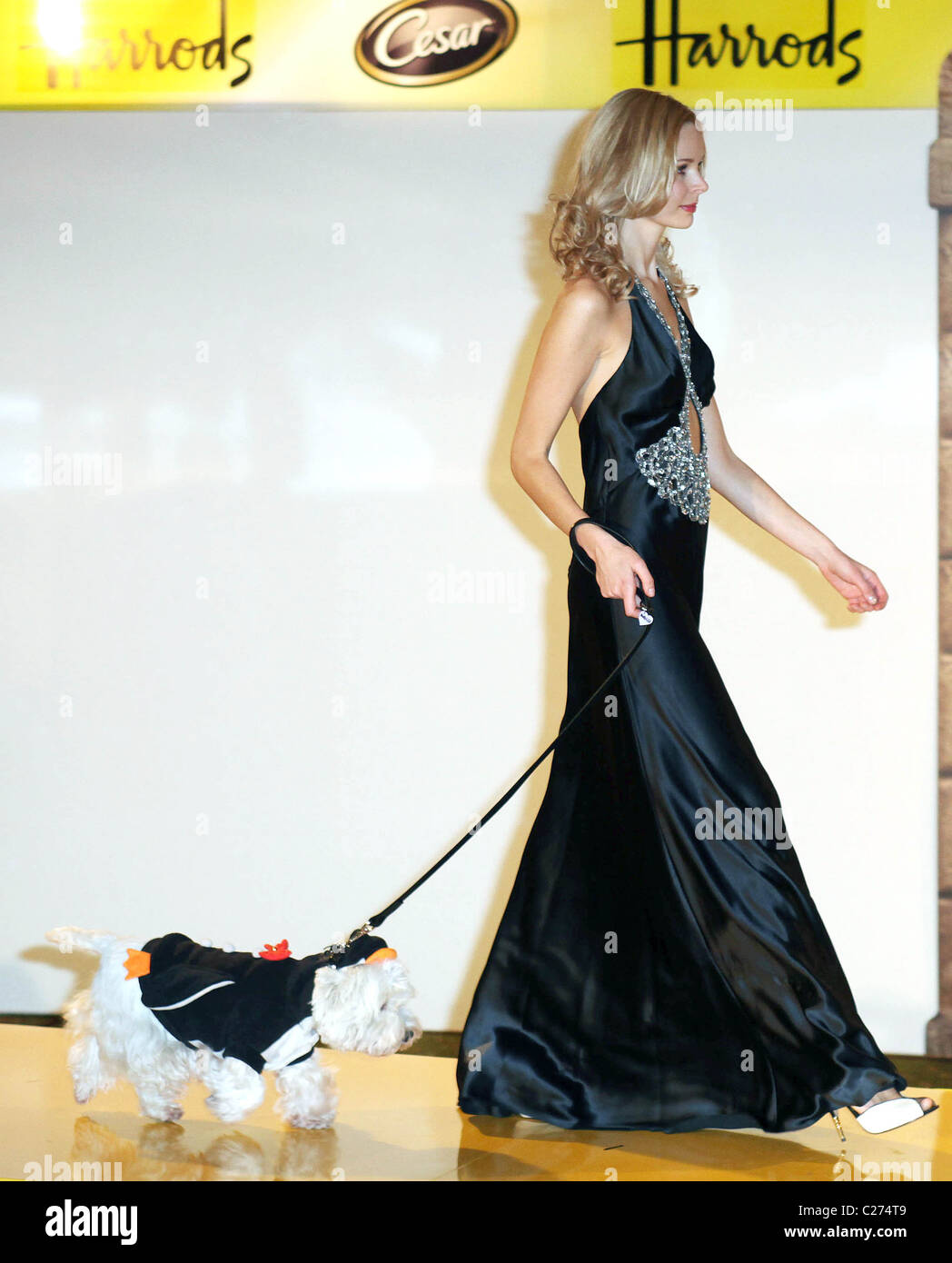 A model walks down the catwalk with a dog during the annual 'Pet-a ...