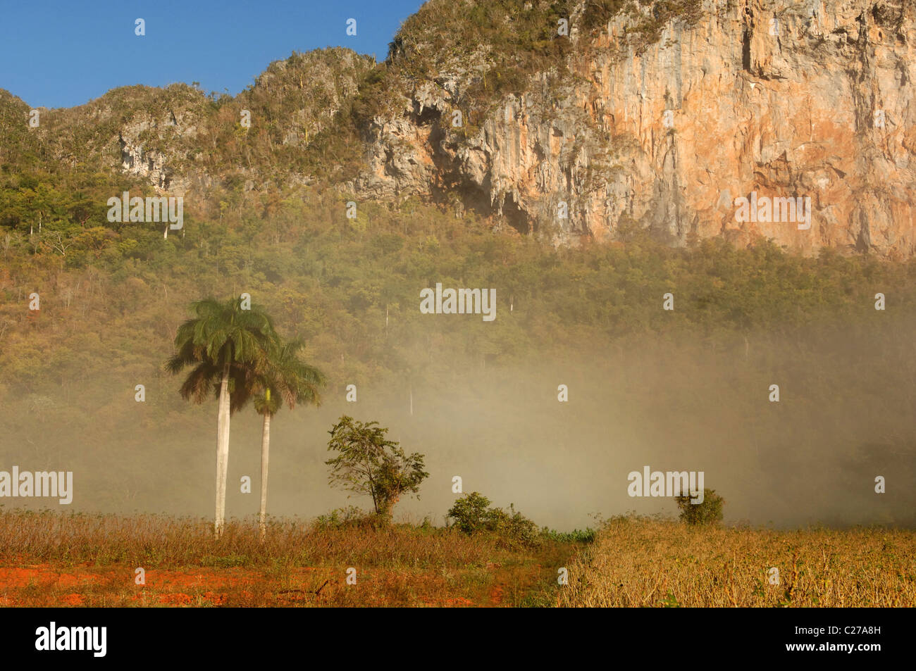 Maracas Valley High Resolution Stock Photography and Images - Alamy