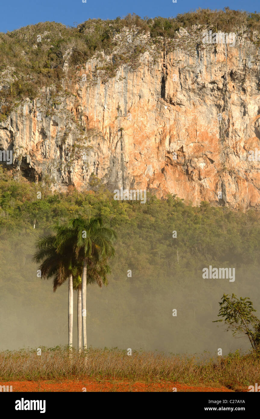 Maracas Valley High Resolution Stock Photography and Images - Alamy