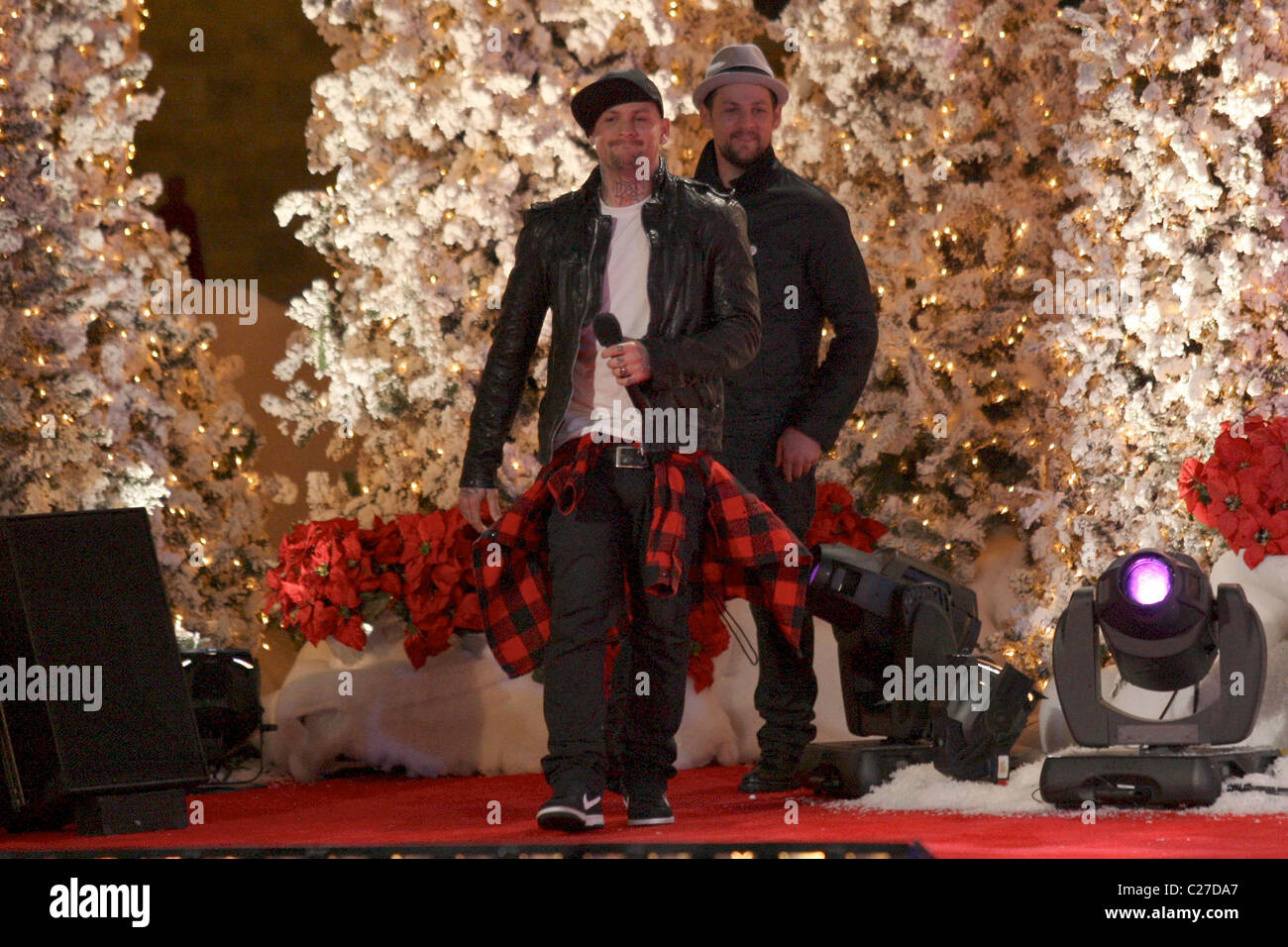 Benji tree hi-res stock photography and images - Alamy