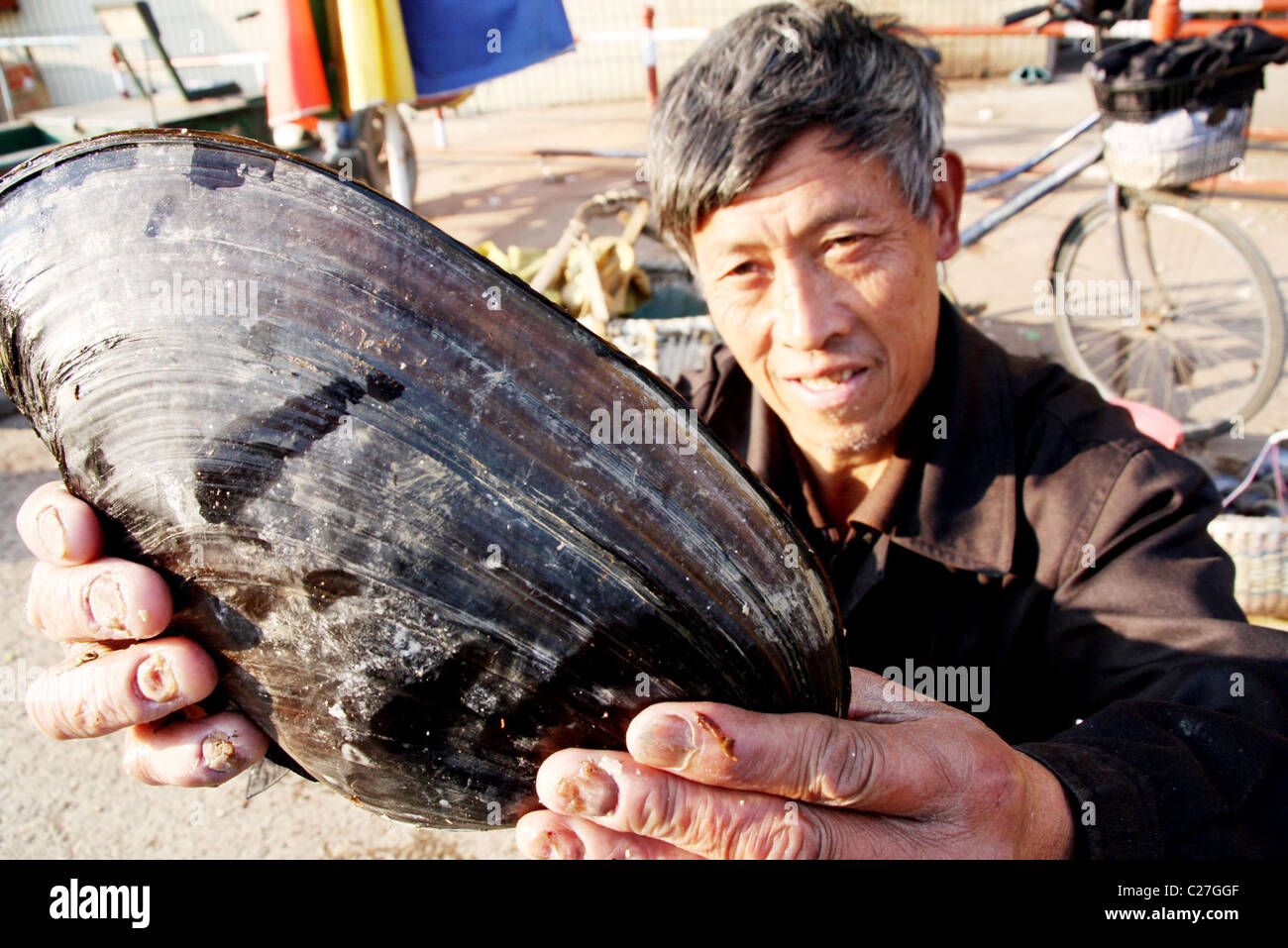 Giant conch A giant shellfish caused a flurry of bidding at fish market ...