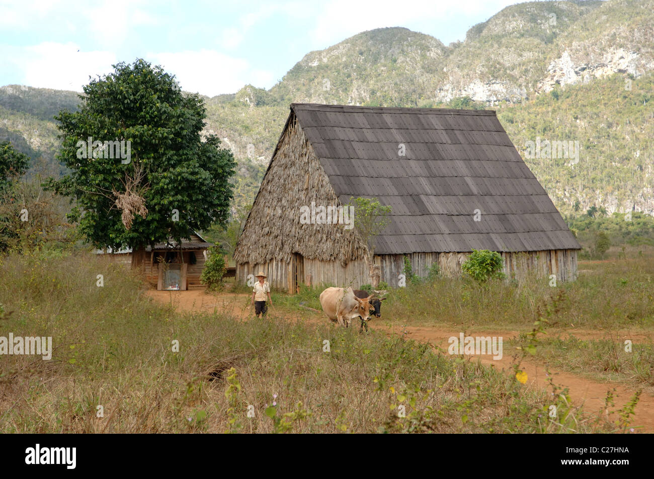 Maracas Valley High Resolution Stock Photography and Images - Alamy
