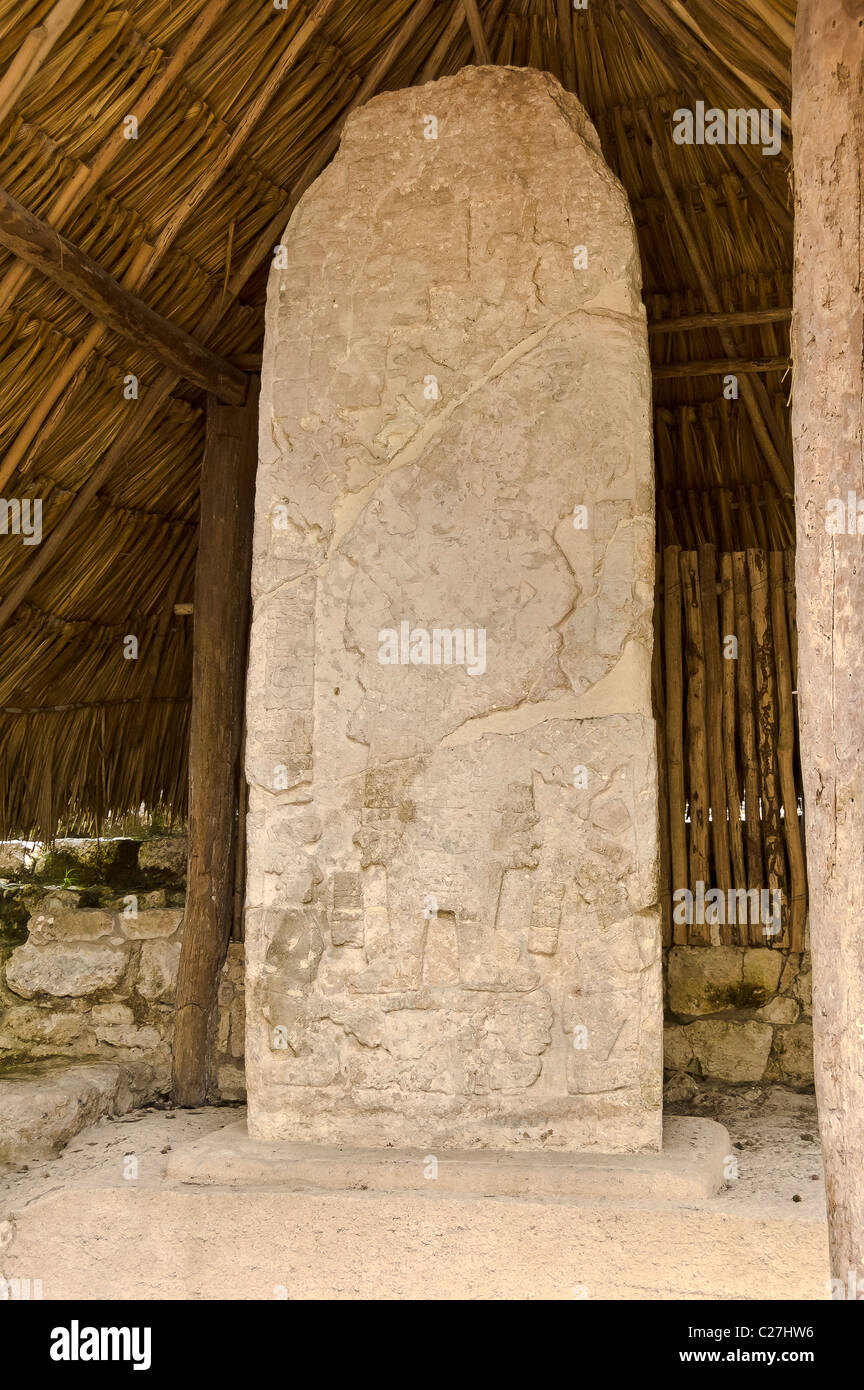 Mayan glyphs on a stone stele, carved animals and gods ,Yucatan ...