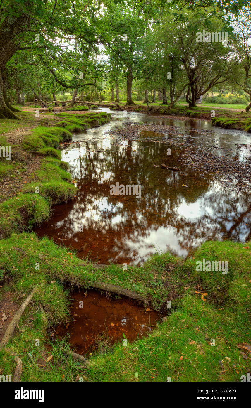 Green lush grass trees and fauna hi-res stock photography and images ...