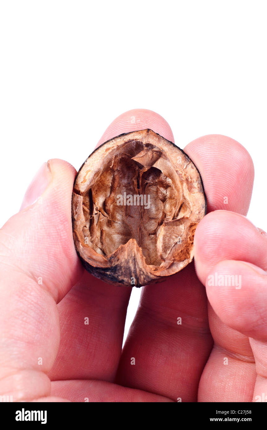 Walnut shell hi-res stock photography and images - Alamy