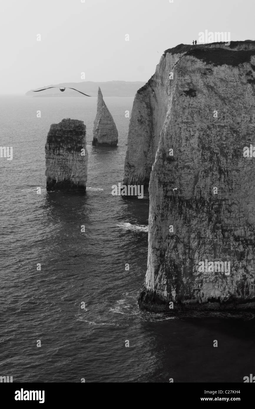 Landscapes coast scene hi-res stock photography and images - Alamy